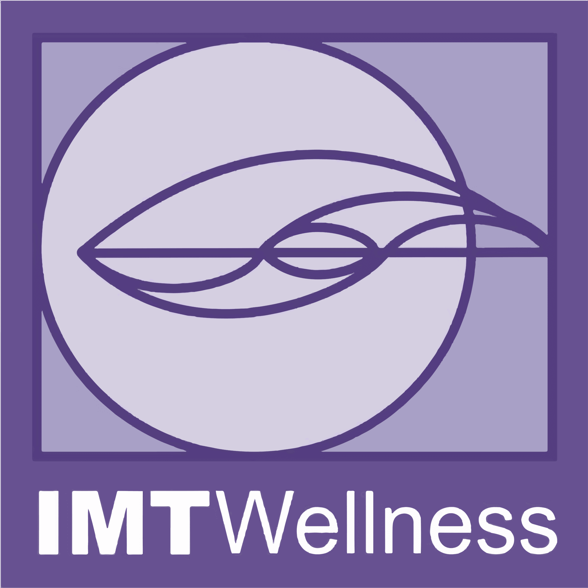 What is IMT? - IMT Wellness